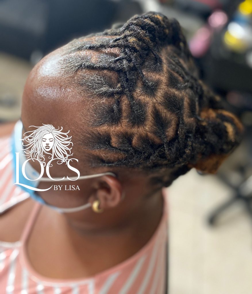 Small Loc Extensions – Loc Bundle (10 Locs)|Locs By Lisa