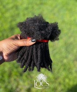 Locs By Lisa Home - Locs By Lisa LLC Online